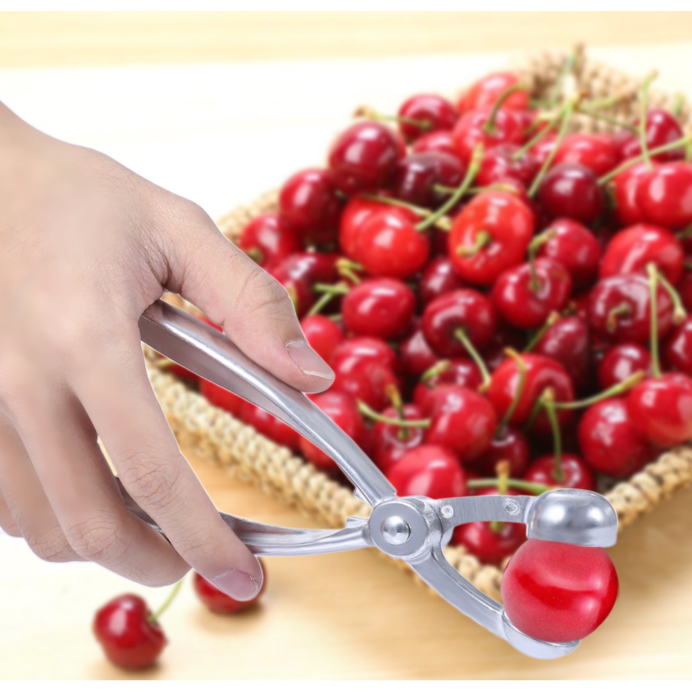 Jual ALAT PEMBUANG BIJI CERI/ CHERRY/ OLIVE ALUMUNIUM | Shopee Indonesia