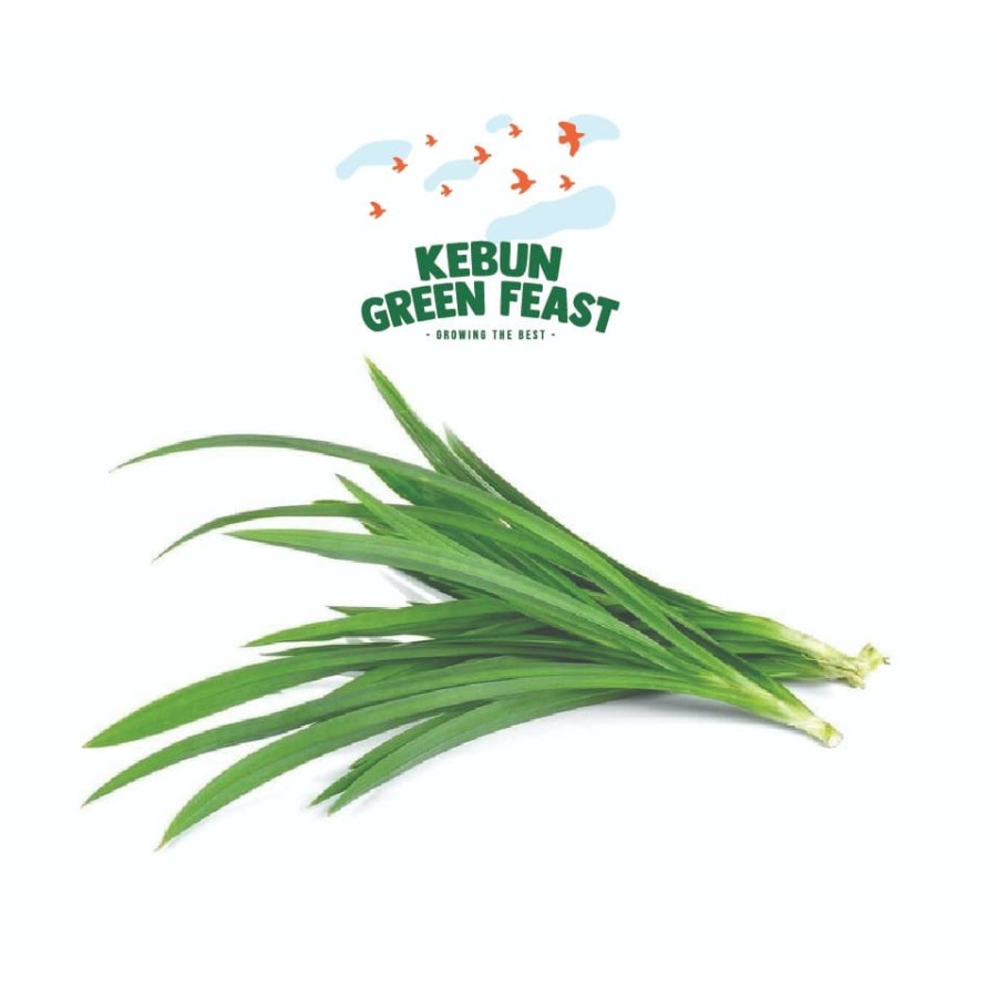 Jual Daun Pandan | Shopee Indonesia