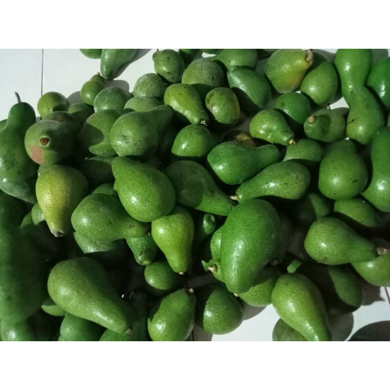 Jual ALPUKET MERTEGA 1 KG | Shopee Indonesia