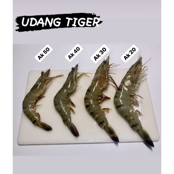 Jual Udang Tiger Besar AK 20 (Frozen) Indonesia|Shopee Indonesia