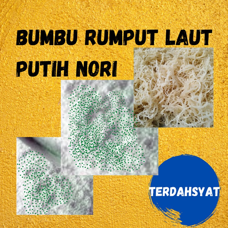 Jual BUMBU TABUR RUMPUT LAUT PUTIH NORI SEAWEED 1 KG FOOD GRADE 1Kg ...