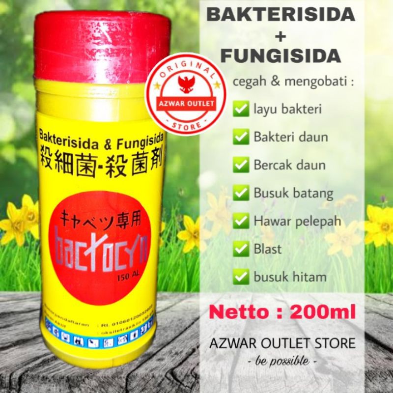Jual bakterisida & fungisida bactocyn - obat busuk daun bercak dan ...