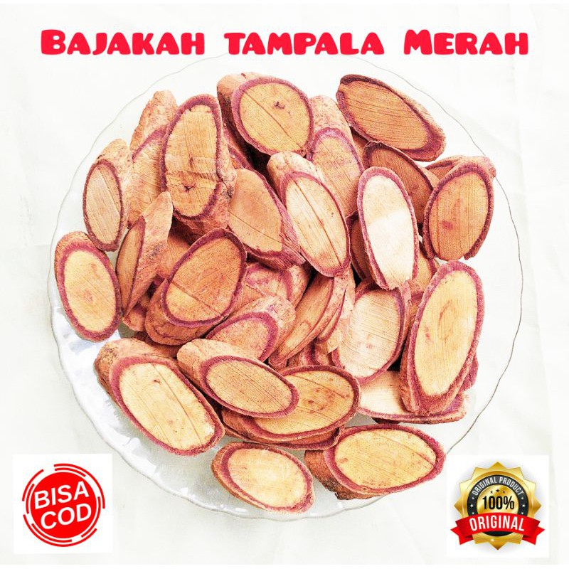 Jual Kayu Akar Bajakah Tampala Kalimantan | Shopee Indonesia