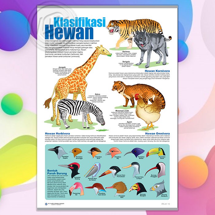 Contoh Klasifikasi Hewan - Perumperindo.co.id