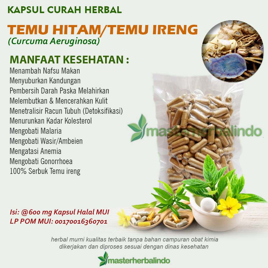Jual TEMU HITAM IRENG 100 Kapsul Herbal Kesuburan Gonorrhoea Kurap ...