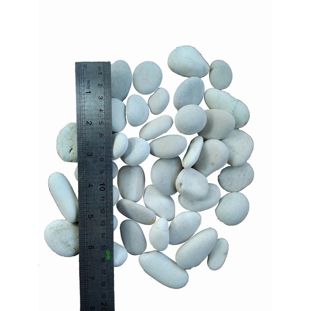 Jual 1kg Batu Koral Putih - Batu kupang - Batu Hias | Shopee Indonesia