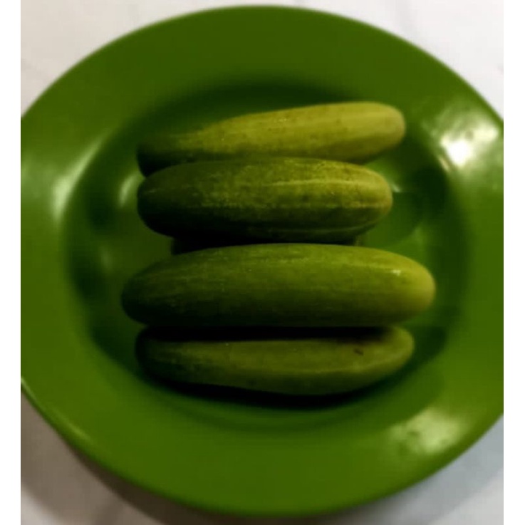 Harga Bonteng Terbaru Februari 2024 |BigGo Indonesia