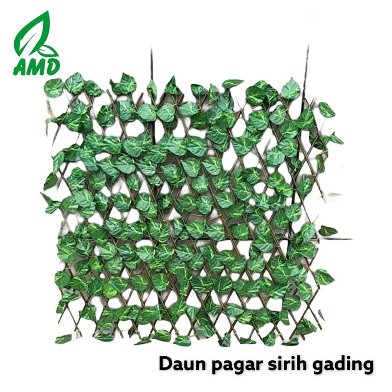 Rumput Daun Pagar bisa dilebarkan sesuai dengan ukuran pagar | Shopee ...