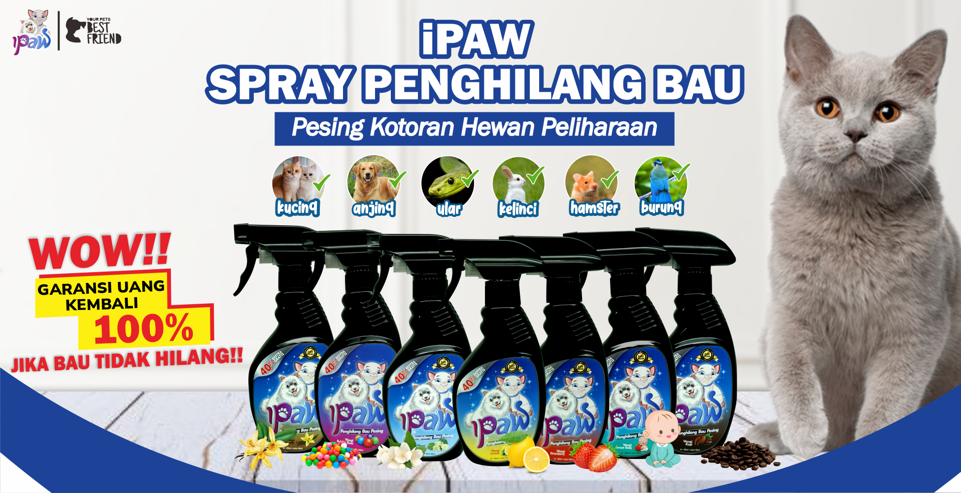 Produk iPAW Official | Shopee Indonesia