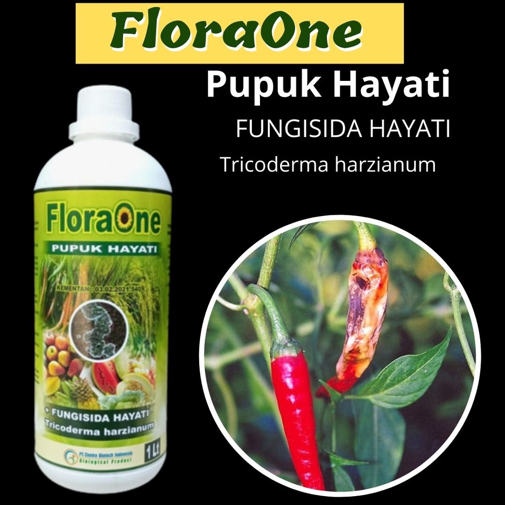 Jual Pupuk Fungisida Hayati Tricoderma Trichoderma Layu Fusarium Busuk Akar Anti Moler Busuk ...
