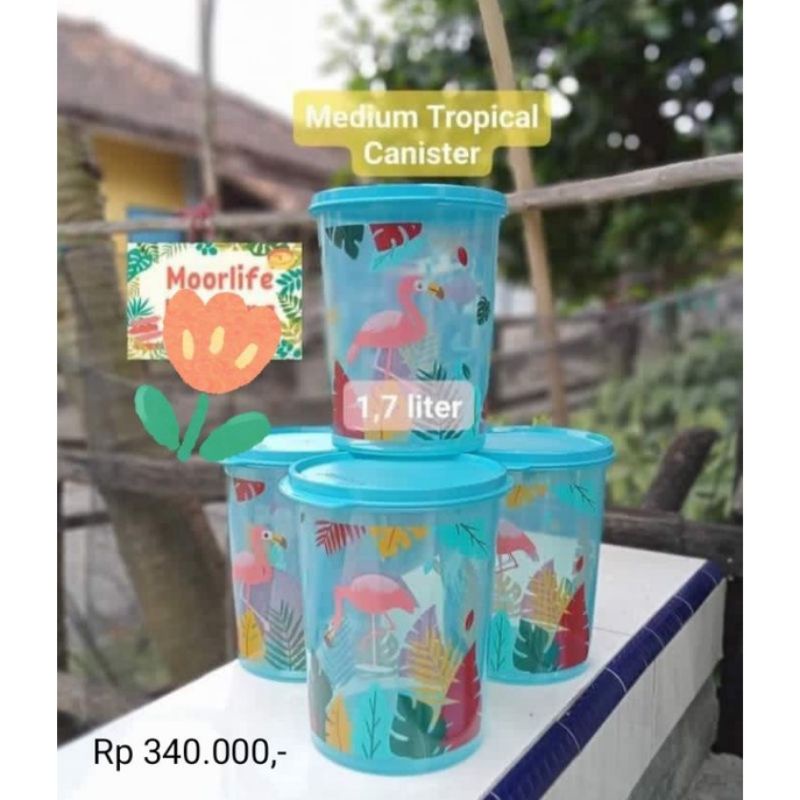 Jual moorlife tropical canister 1,7L ecer (1pcs) | Shopee Indonesia