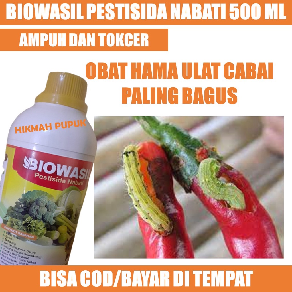 Jual BISA BAYAR DI TEMPAT 500 ML BIOWASIL PESTISIDA HAMA CABE RAWIT ...