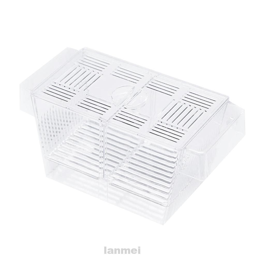 Jual ABS Floating Pet Supplies Isolation With Suction Cups Hatchery ...
