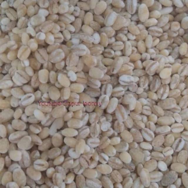 Jual Barley seed / biji jali jali 250gr surabaya | Shopee Indonesia