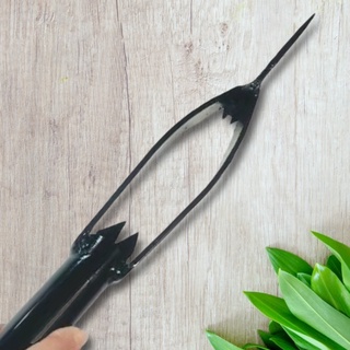 Jual Alat Kastrasi Sawit / Dodos Kastrasi Sawit Asli | Shopee Indonesia