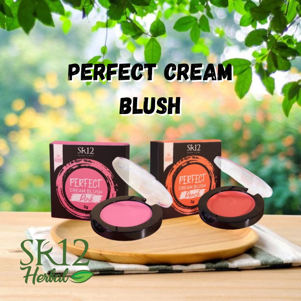 Jual Blush On Sr12 Perfect Cream Blush 3gr Pewarna dan Perona Pipi ...