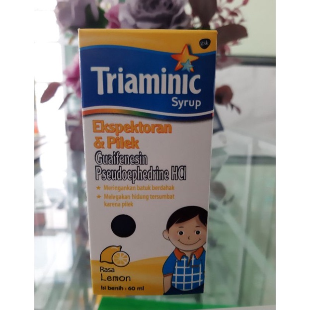 Jual TRIAMINIC EXPECTORANT PILEK 60ML | TRIAMINIC EXPECTORANT PILEK ...