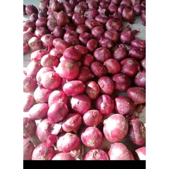 Jual bawang merah india 1kg | Shopee Indonesia