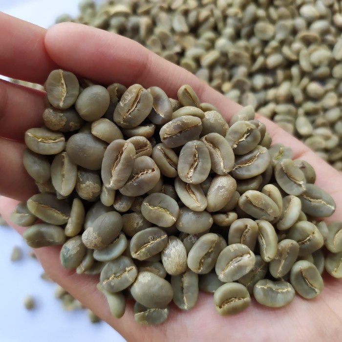 Jual Biji Kopi Green Bean Arabika Full Wash Specialty Coffee 1 Kg ... Jual Biji Kopi Green Bean Arabika Full Wash Specialty Coffee 1 Kg ...