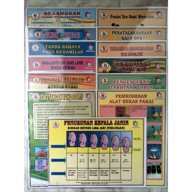 Jual 1 SET POSTER 60 LANGKAH APN KEBIDANAN (13 POSTER) | Shopee Indonesia