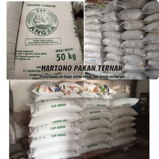 Jual POLAR GANDUM Pollard Cap Angsa & Mayora MANTA BIRU Asli Bogasari ...
