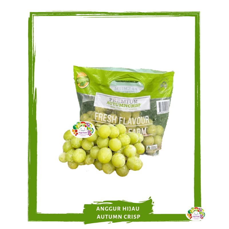 Jual Anggur Hijau Autumn Crisp / Buah Buahan Segar By Mallahrizwa ...