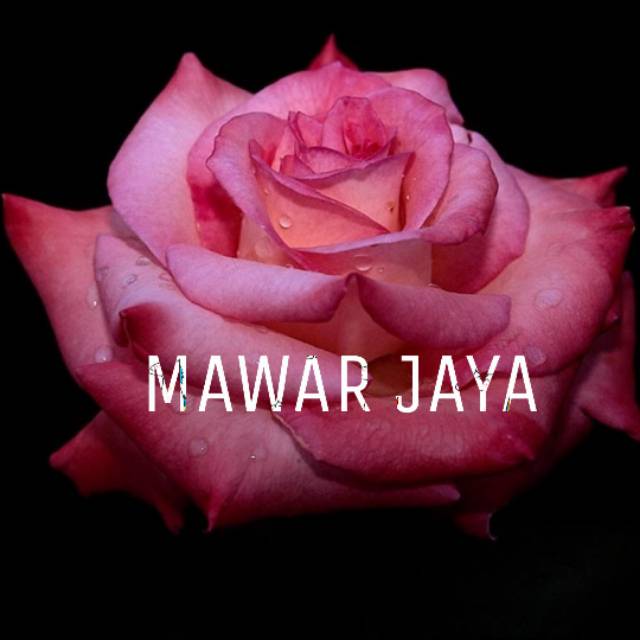 Produk MAWAR JAYA | Shopee Indonesia