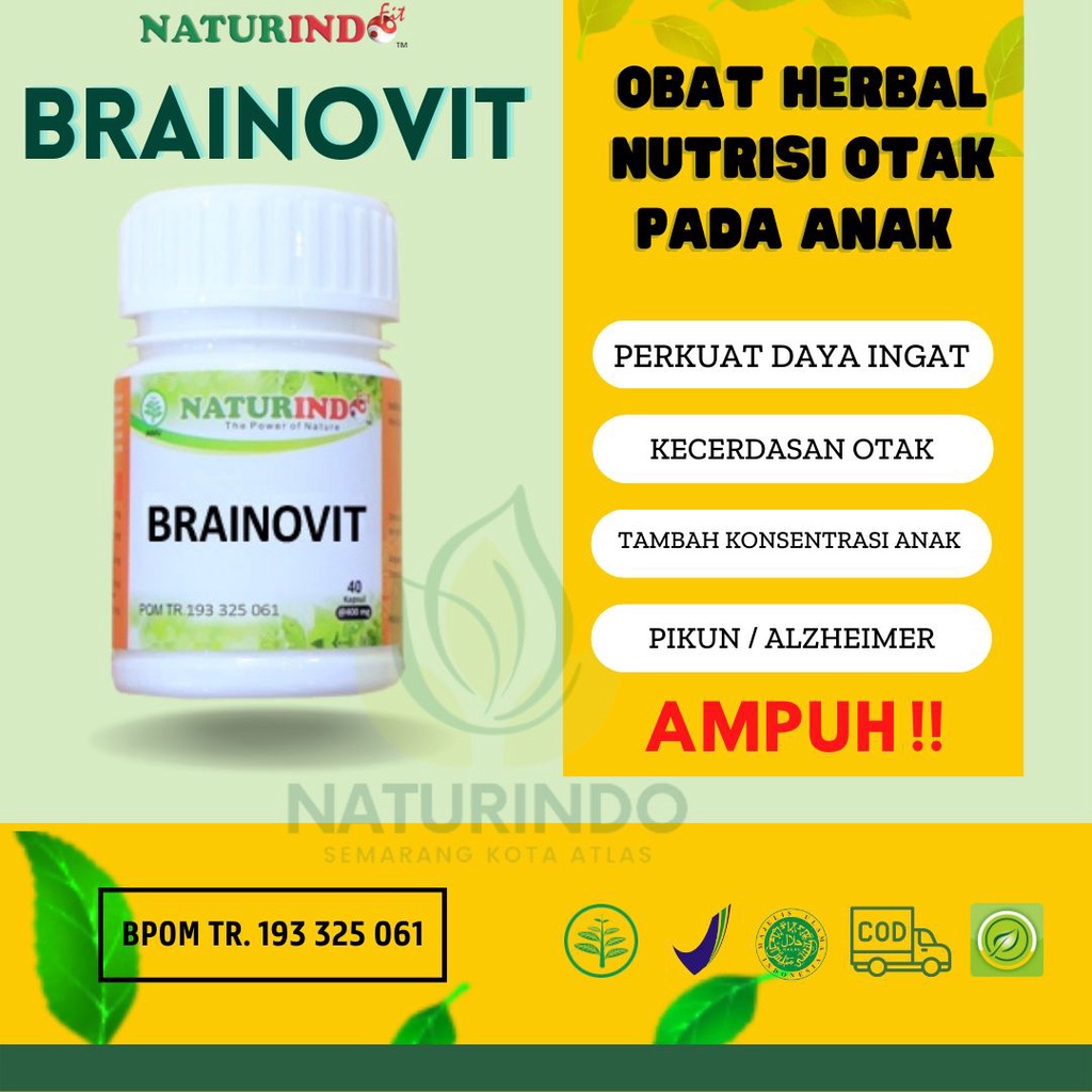 Jual Naturindo Brainovit Brainofit Obat Herbal Suplemen Nutrisi Otak ...