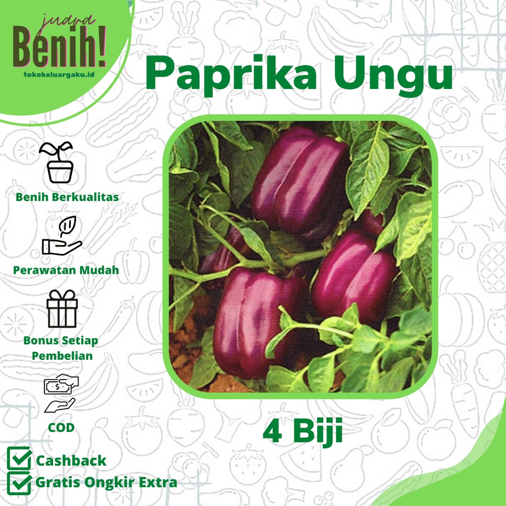 Jual Benih Paprika Ungu 4 biji- PURPLE STAR F1 Bibit Tanaman Sayur ...