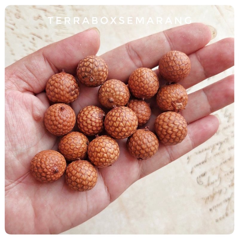 Jual BIJI ROTAN BAHAN MAHAR RING BEARER RUSTIC | Shopee Indonesia