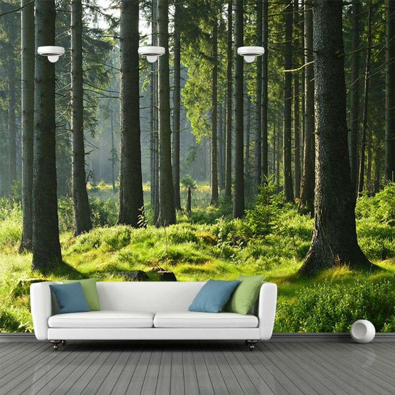 Jual Wallpaper Hutan Pinus Wallpaper forest 3D Wallpaper Custom 3D ...