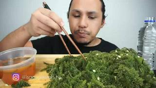 Jual Anggur laut Hijau ( Sayur Laut Segar ) | Shopee Indonesia