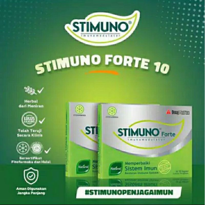 Jual STIMUNO FORTE 10 beli 10pc bonus 1pc | Shopee Indonesia