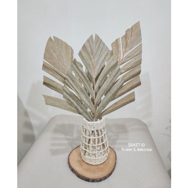Jual Daun Kering Dekorasi Rustic (Daun Palem Salak) Indonesia|Shopee ...