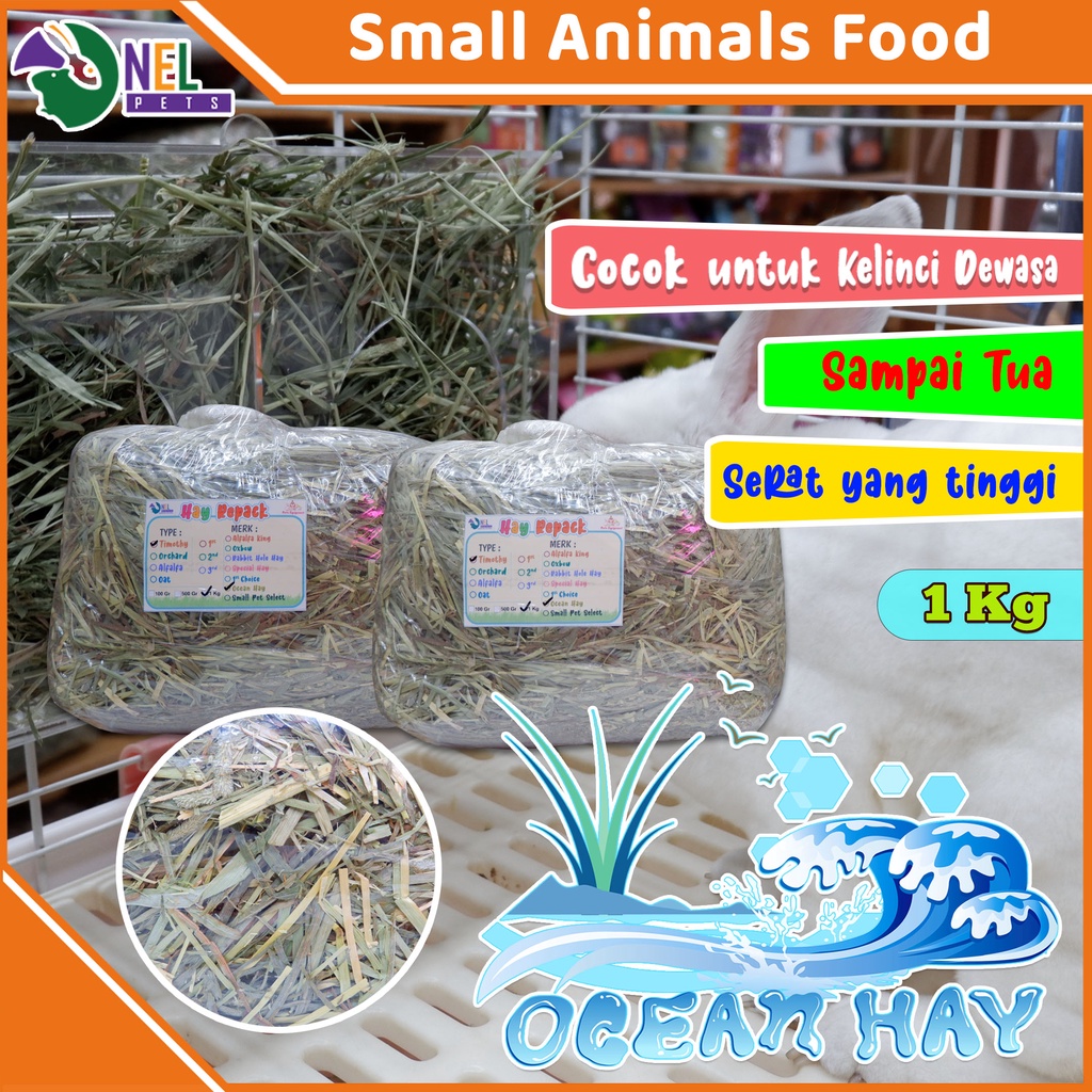 Jual TIMOTHY HAY REPACK 1kg by OCEAN HAY/rabbit food makanan guinea pig ...