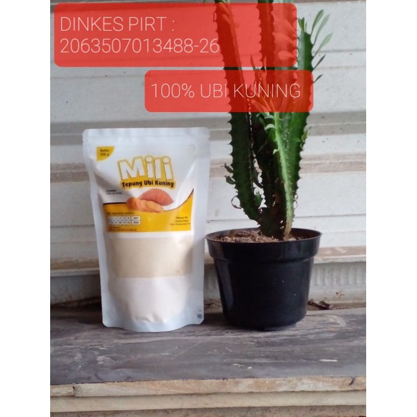 Jual Tepung Ubi Kuning 250 Gram/ Tepung MPASI/ Tepung Gluten Free ...