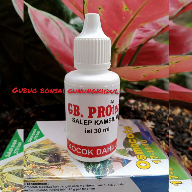 Jual salep kambium bonsai salep luka tanaman 30ml | Shopee Indonesia