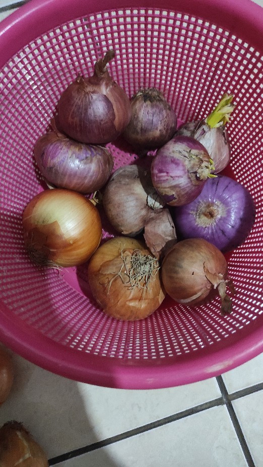 Bawang merah india impor 1 Kg. | Shopee Indonesia