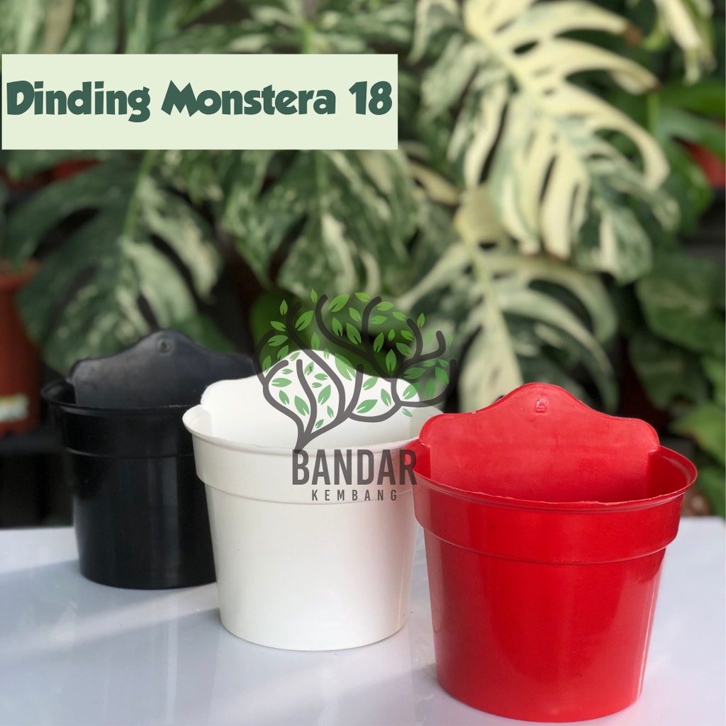 Jual Pot Dinding Monstera 18 CM - Pot Dinding Tempel Murah - Pot Tempel ...