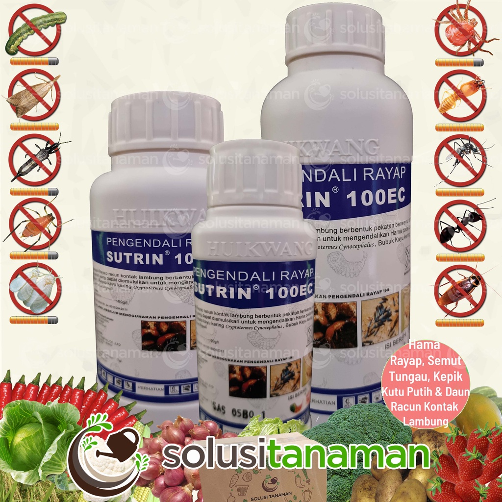 Jual Obat Hama Pengendali Rayap Sutrin 500ml Pembasmi Rayap Rumah ...