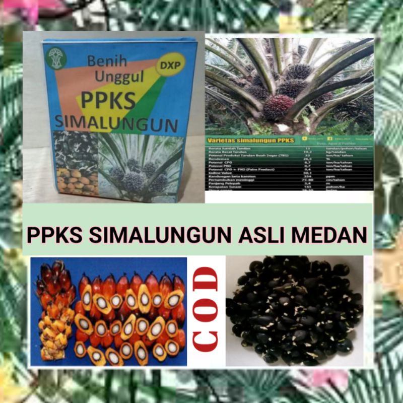Produk CV GUNUNG _ RAYA | Shopee Indonesia