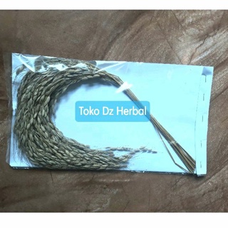 Jual Jual seikat padi ketan hitam original | Shopee Indonesia