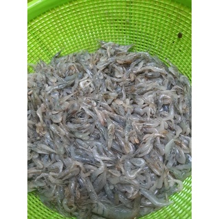 Jual Pakan UDANG KECIL BEKU FROZEN PAKAN RAWA SAWAH SUNGAI AIR TAWAR ...