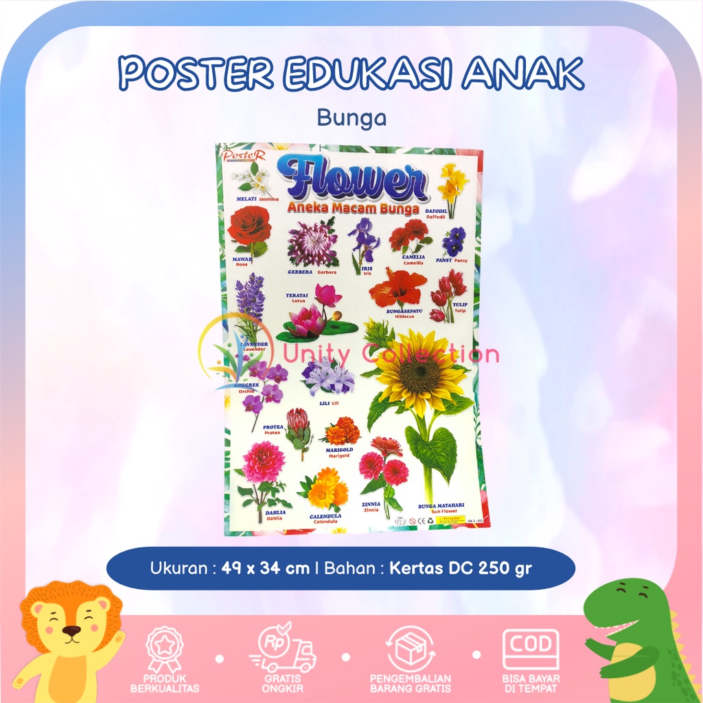 Jual Poster Dinding Tempel Anak Belajar Aneka Macam Bunga | Shopee ...