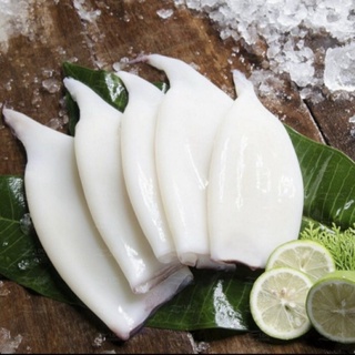 Jual Cumi Beku Frozen 500gr Cumi Tube Bersih Frozen Fresh | Shopee ...