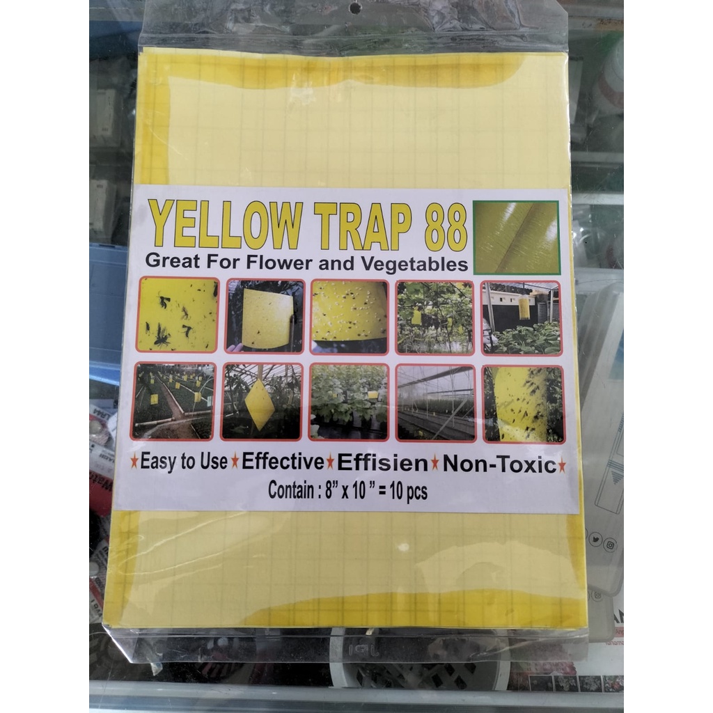 Jual Yellow Trap / Perangkap Kuning Hama Tanaman / Kertas Kuning Tahan ...