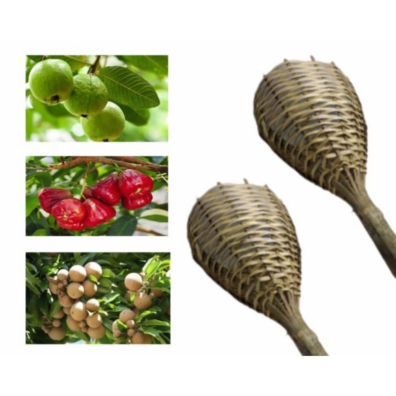 Jual Alat Pemetik Buah Alat Bantu Petik Buah Bahan Bambu Brongsong ...