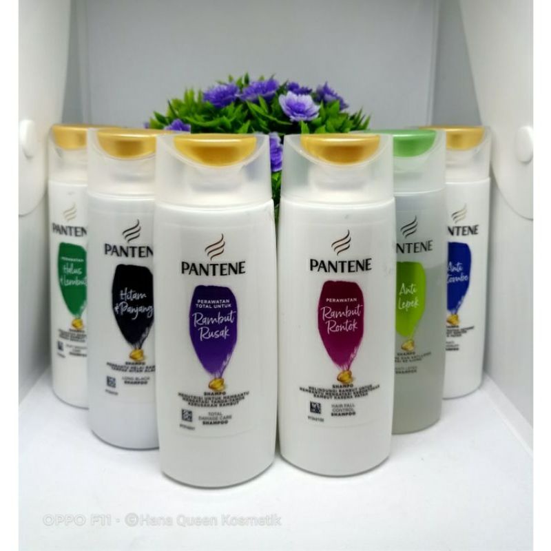 Jual Pentene Sampo Terlengkap & Harga Terbaru Maret 2023 | Shopee Indonesia