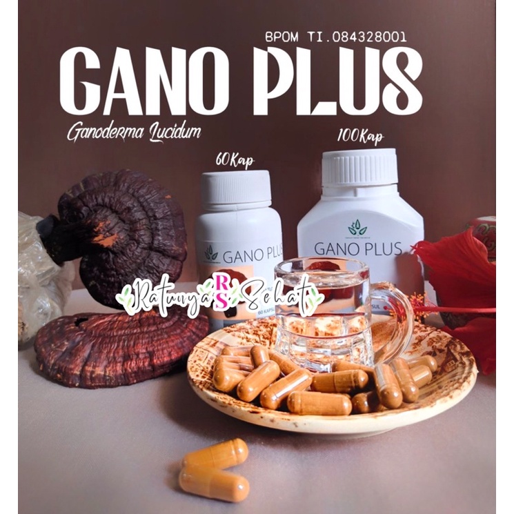 Jual GANO PLUS ORIGINAL kekebalan tubuh Diamond interest indonesia ...