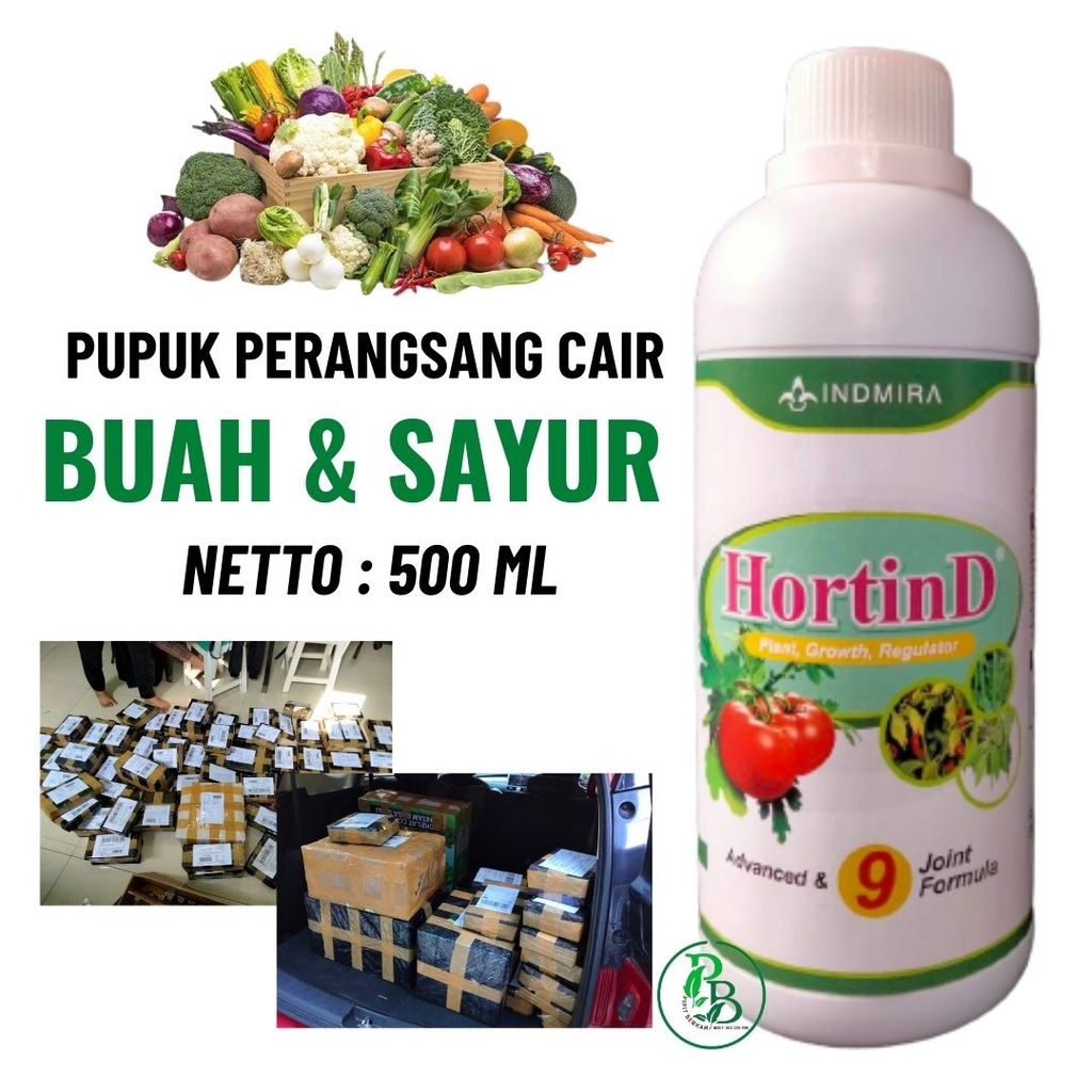 Jual Pupuk perangsang buah jeruk Supaya lebat, Nutrisi Cair untuk tunas ...